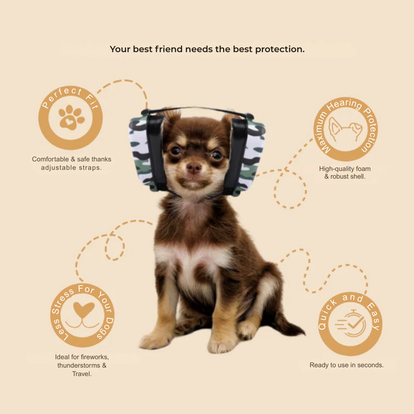 NovaBurst™ — Ignite Nights Filled with Awe, Color, and Unforgettable M